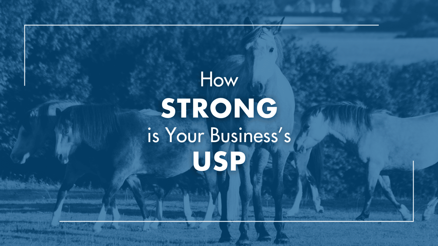How Strong is your USP? - ActionCOACH Bluegrass