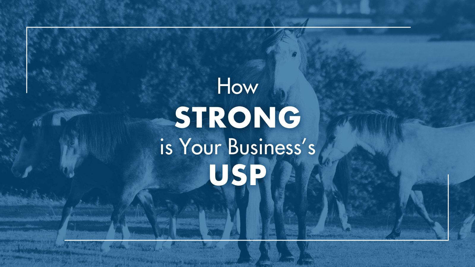 How Strong is your USP? - ActionCOACH Bluegrass