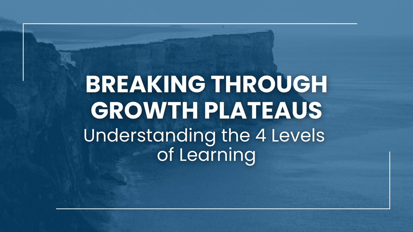 Stuck in Neutral? Understanding the 4 Levels of Learning in Business ...